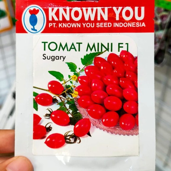 Jual KYS - benih TOMAT CHERRY SUGARY isi 50 biji - tomat mini - known ...