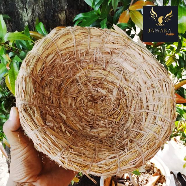 Jual Sarang Telur Jerami Merpati Perkutut | Shopee Indonesia