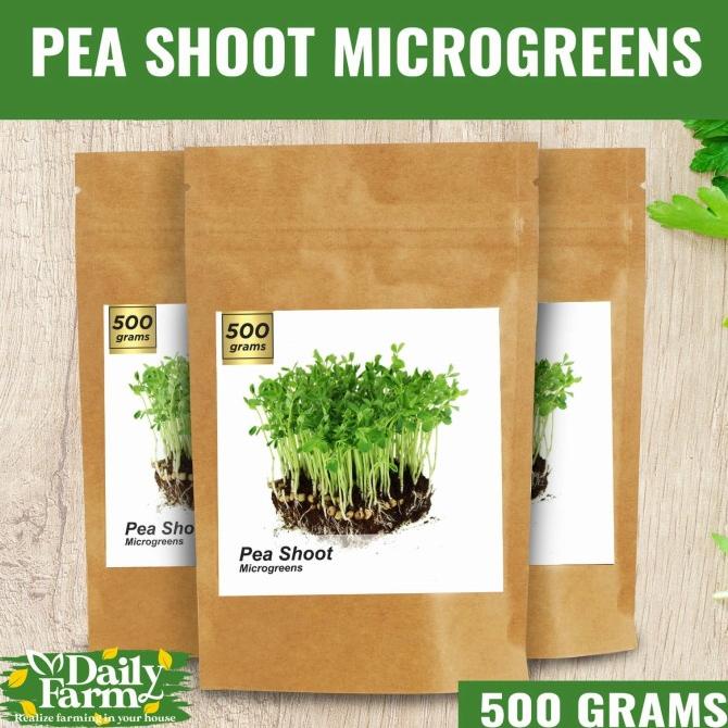 Jual Benih Sayur Microgreen Pea Shoot - Tomiao - Kacang Polong ( 500 ...