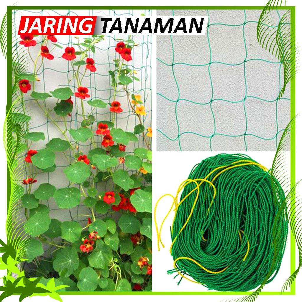 Jual Jaring Tanaman Rambat / Tali Nilon Penopang Tanaman / Climbing Net ...