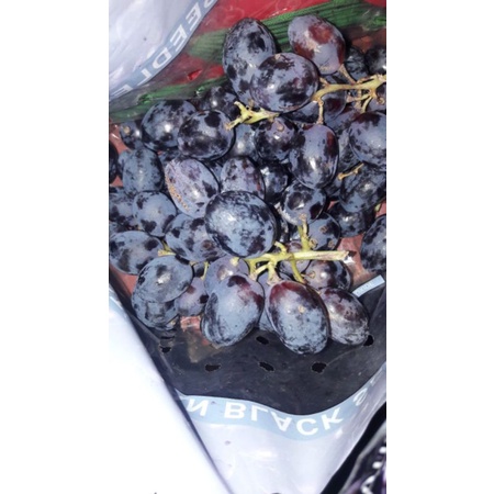 Jual Anggur Hitam tanpa biji (seedless) | Shopee Indonesia