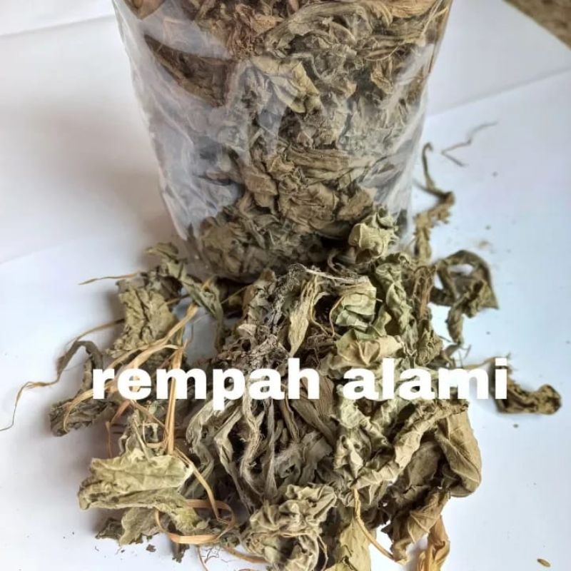 Jual Daun Tapak Liman Kering 100gr | Shopee Indonesia