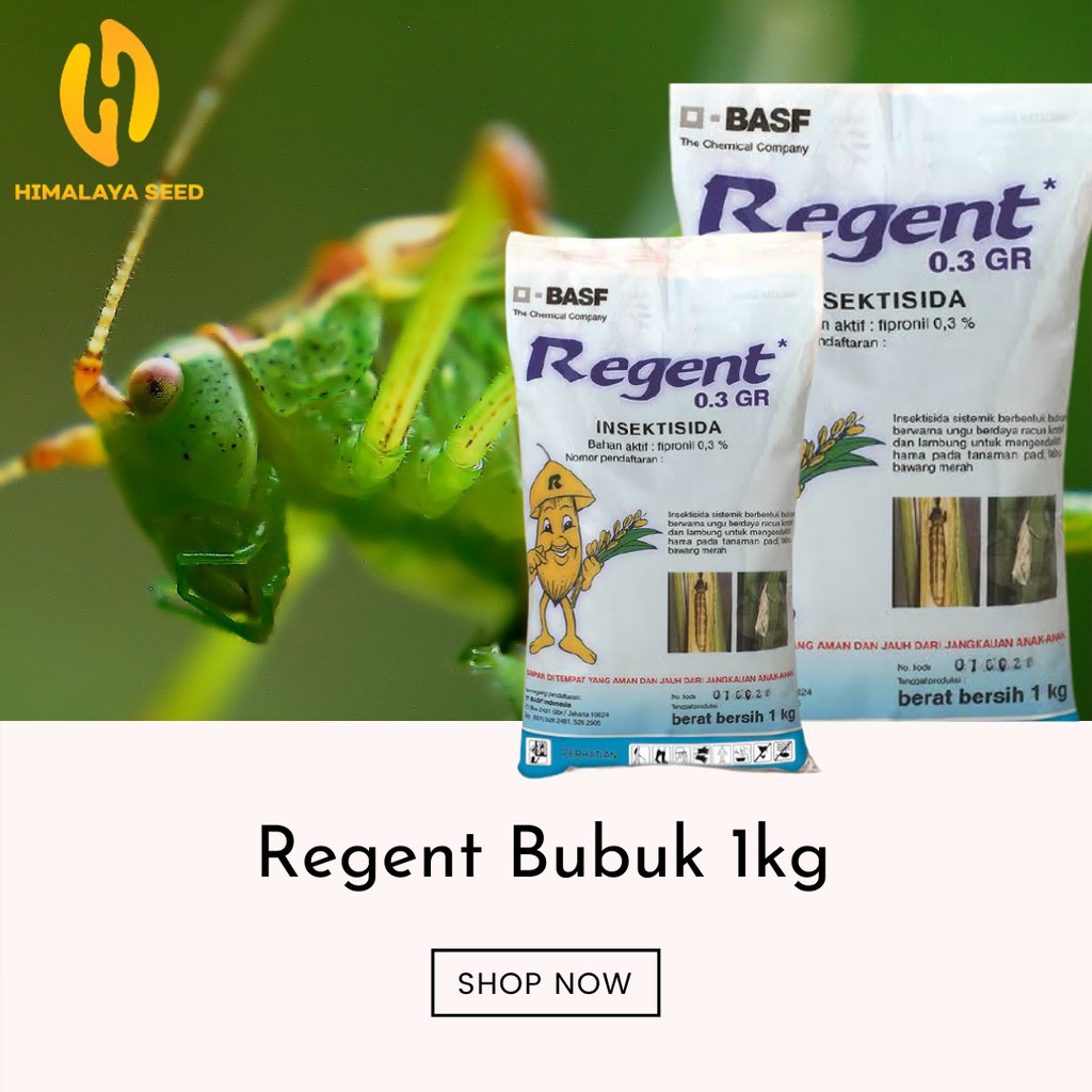 Jual Regent Bubuk Pengendali Hama 1kg | Shopee Indonesia