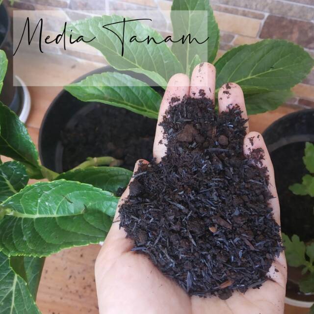 Jual Tanah tanaman media tanaman 1 kilo | Shopee Indonesia