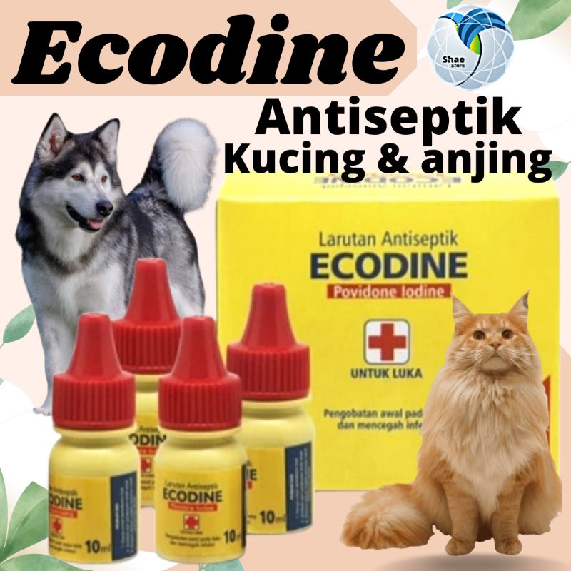 Jual ECODINE-Cairan antiseptik Obat Luka Kucing Anjing Kelinci Anti ...