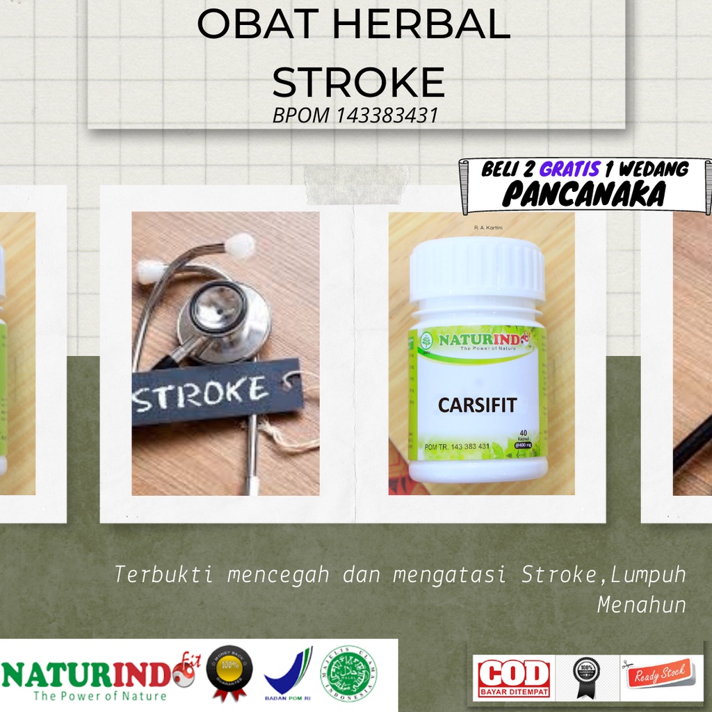 Jual Obat Herbal Stroke Struk Herbal Stroke Ringan Berat Paling Ampuh ...