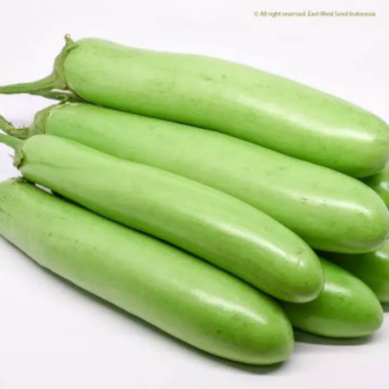 Jual terong hijau super 500gr | Shopee Indonesia