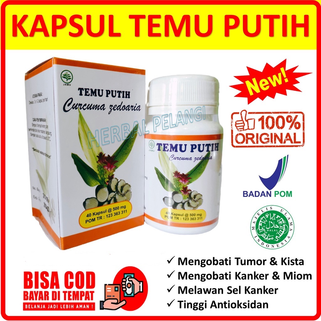 Jual Kapsul Temu Putih Obat Herbal Insani Manfaat Terapi Kanker Isi 40 ...