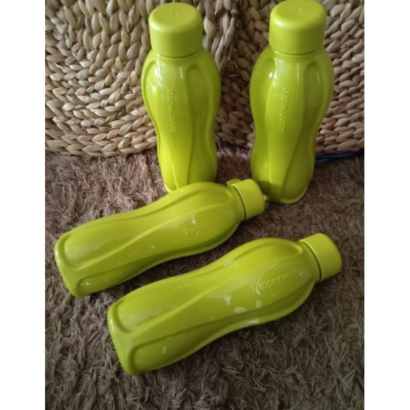 Jual Eco botol 500ml | Shopee Indonesia