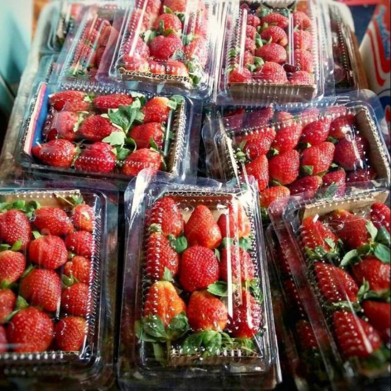 Jual Strawberry per pack | Shopee Indonesia
