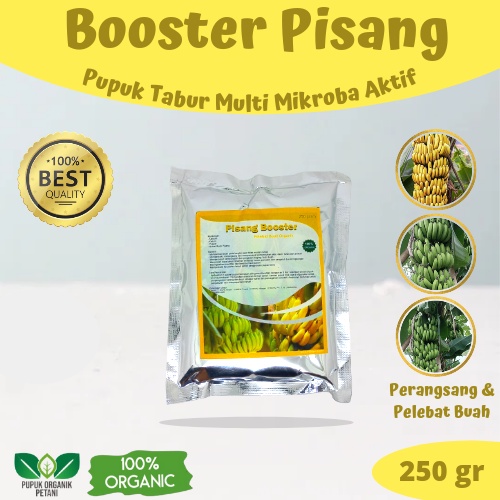 Jual Pupuk Penyubur Pisang Organik ampuh , Pelebat pisang, meningkatkan produksi buah terbaik ...