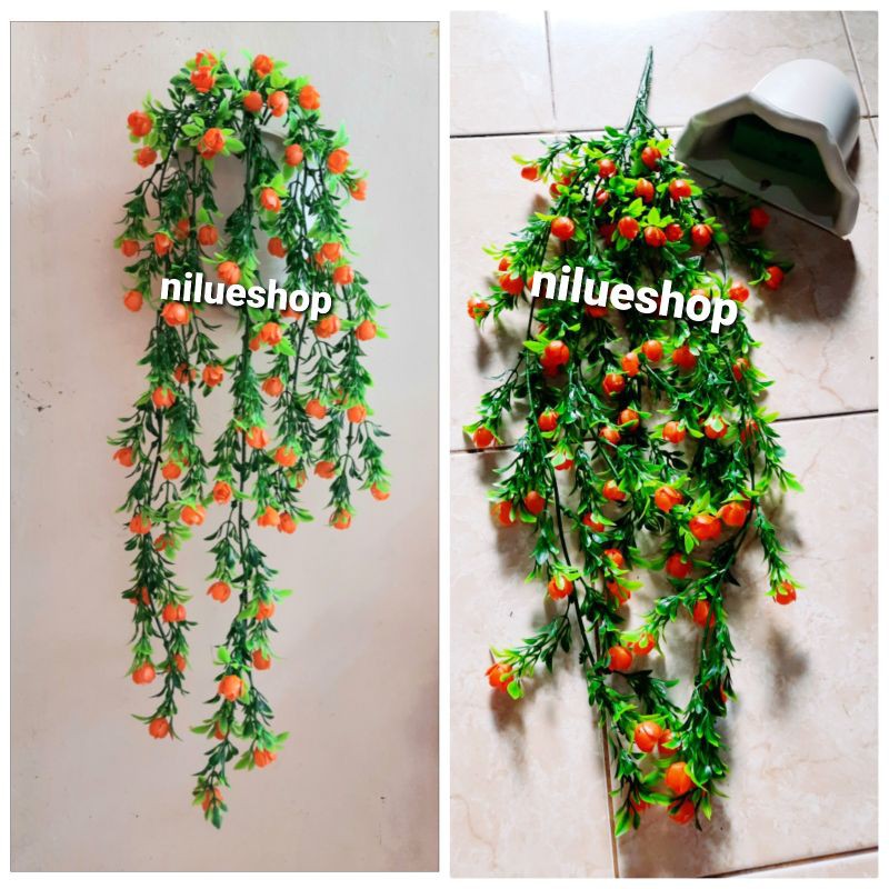 Jual Bunga Priti +pot dinding ombak plastik bunga gantung bunga rambat ...