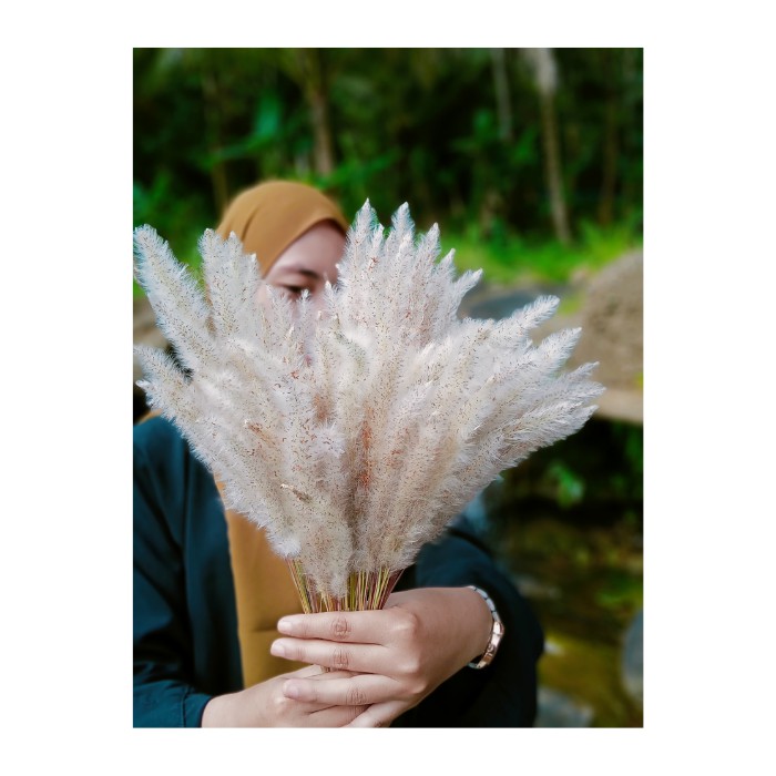 Jual pampas lokal kering /bunga kering ilalang / bahan rustic dekorasi ...