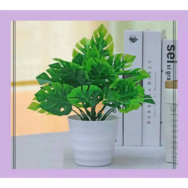 Jual MONSTERA DELICIOSA BUNGA ARTIFICIAL JANDA BOLONG | Shopee Indonesia