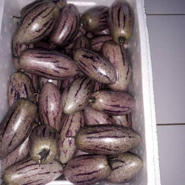 Jual Buah Pepino/buah put paket 2kg | Shopee Indonesia