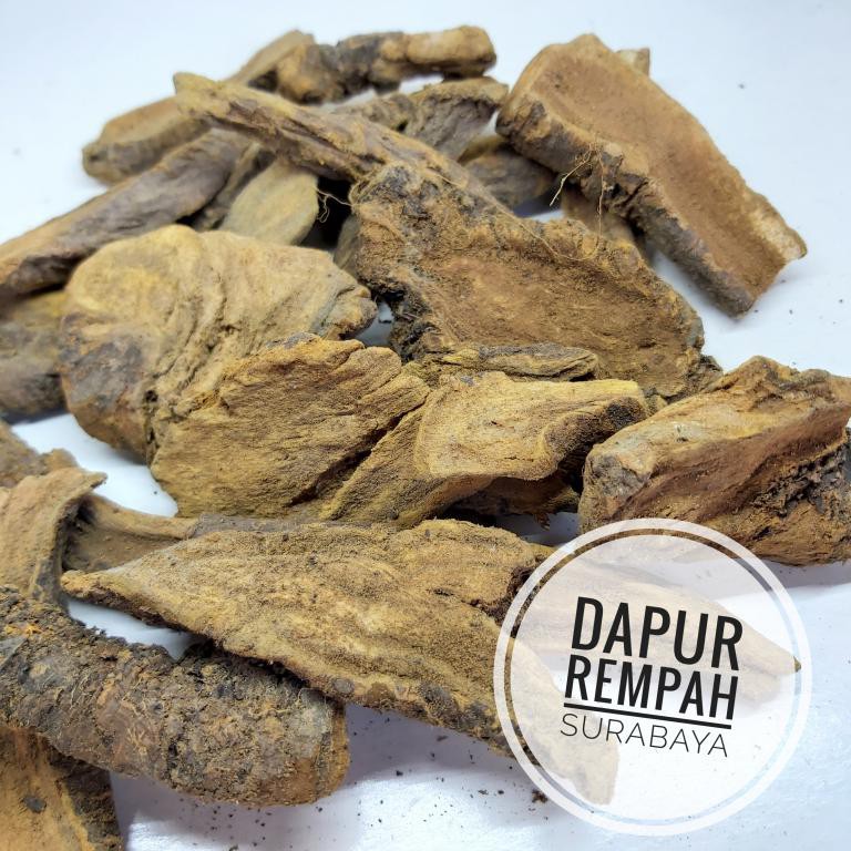 Jual KELEMBAK | Shopee Indonesia