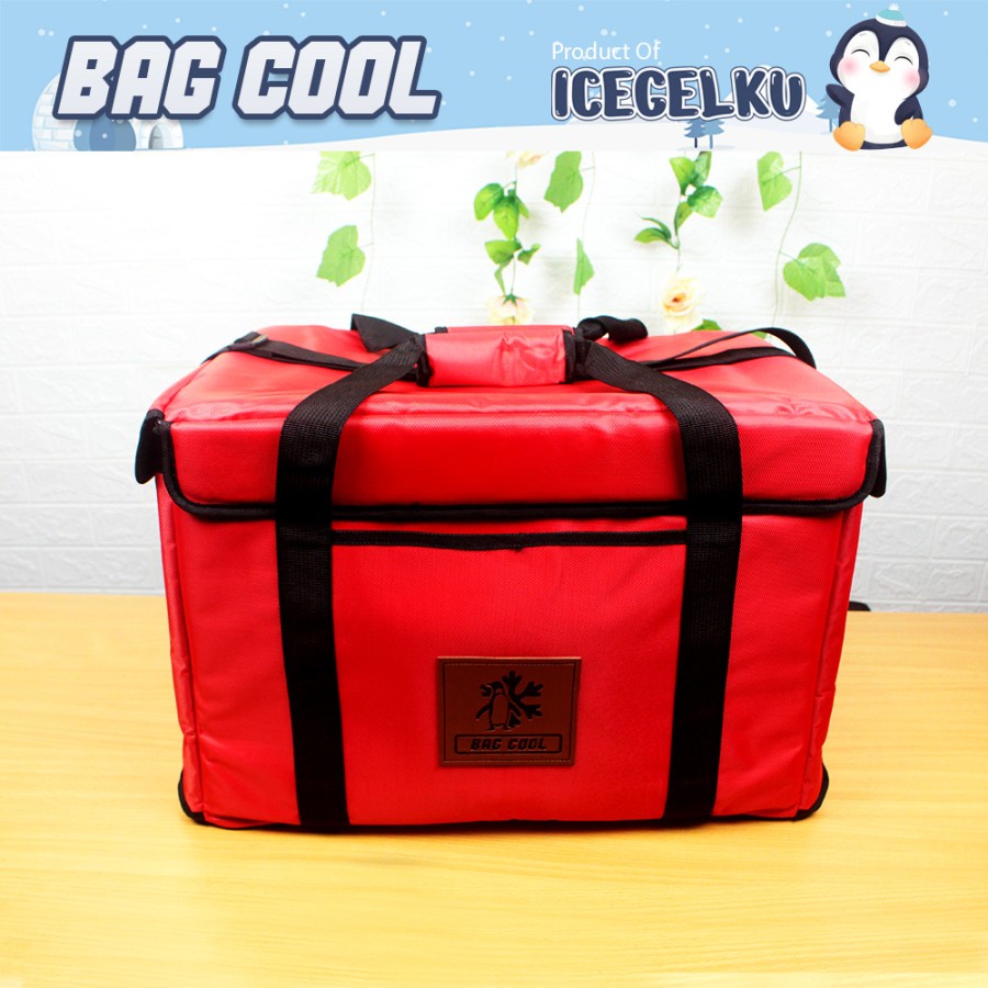 Jual Cooler Bag Besar Tas Ice Cream Box Ice Cream HANYA TAS | Shopee ...
