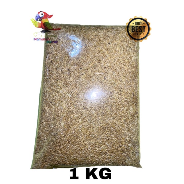 Jual PAKAN BURUNG KENARI SEED 1 KG PAKAN KENARI MILET KENARI KENARI ...