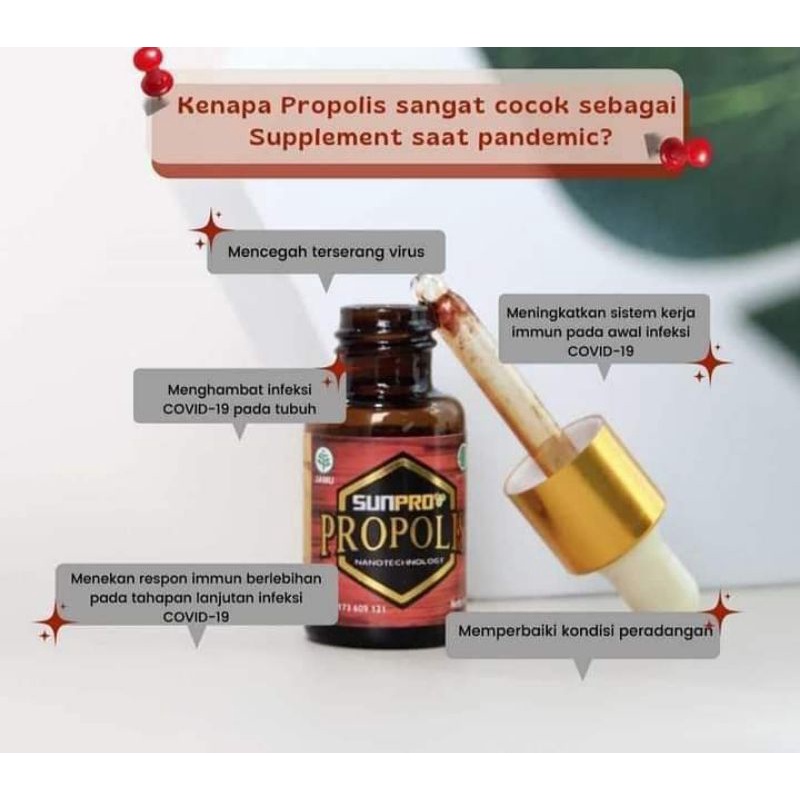 Jual PROPOLIS(SUNPRO) | Shopee Indonesia