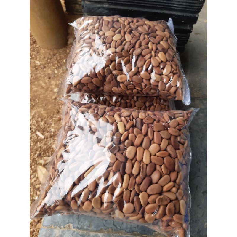 Jual biji secang super 1 kg | Shopee Indonesia