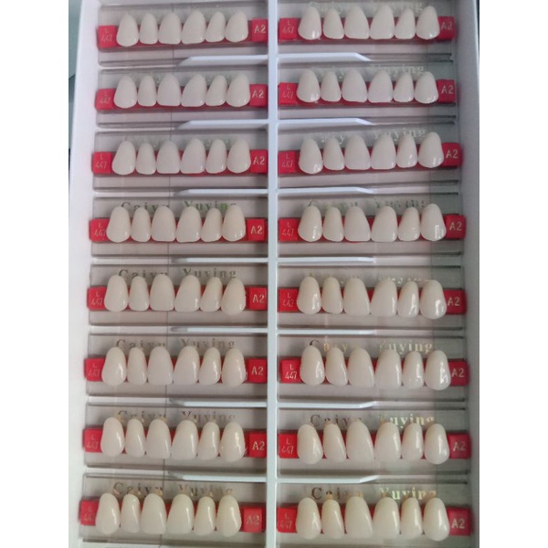 Jual Gigi Ciayu A2 | Shopee Indonesia