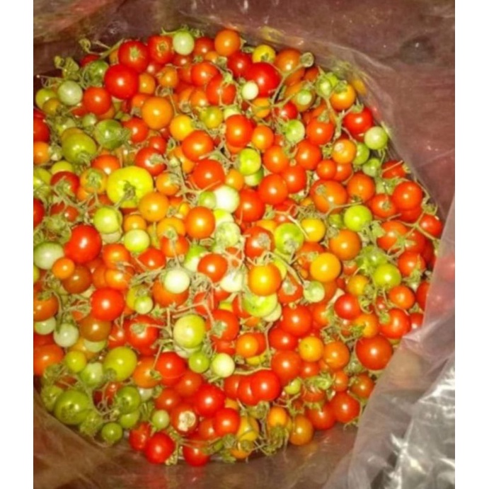 Jual Buah Rampai Sambal Segar khas Lampung 250gr | Shopee Indonesia