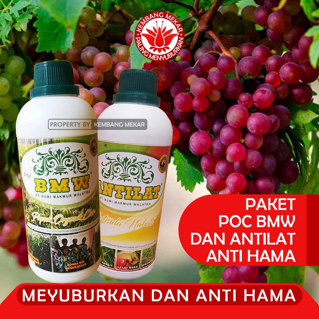 Jual Pupuk Pestisida Organik Cair Obat Anti Hama & Pupuk Organik Cair ...