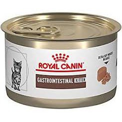 Jual Royal canin RC Gastrointestinal kitten kaleng 195 gram pakan ...