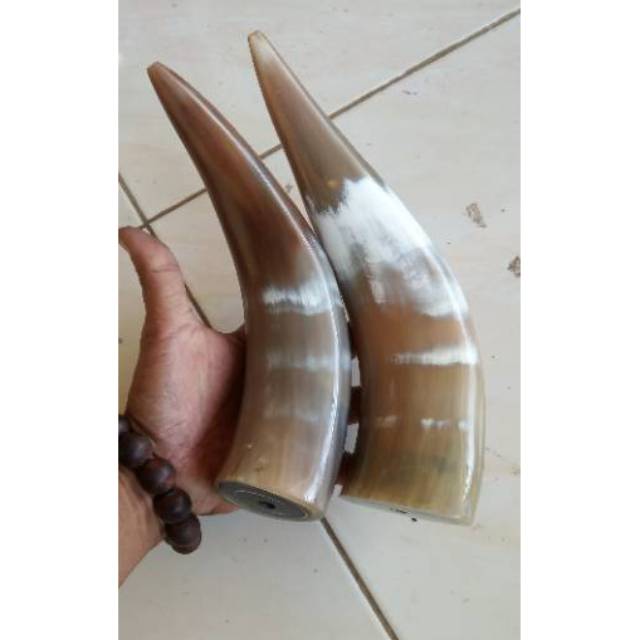 Jual Pipa tanduk kerbau bule jumbo 0112 | Shopee Indonesia