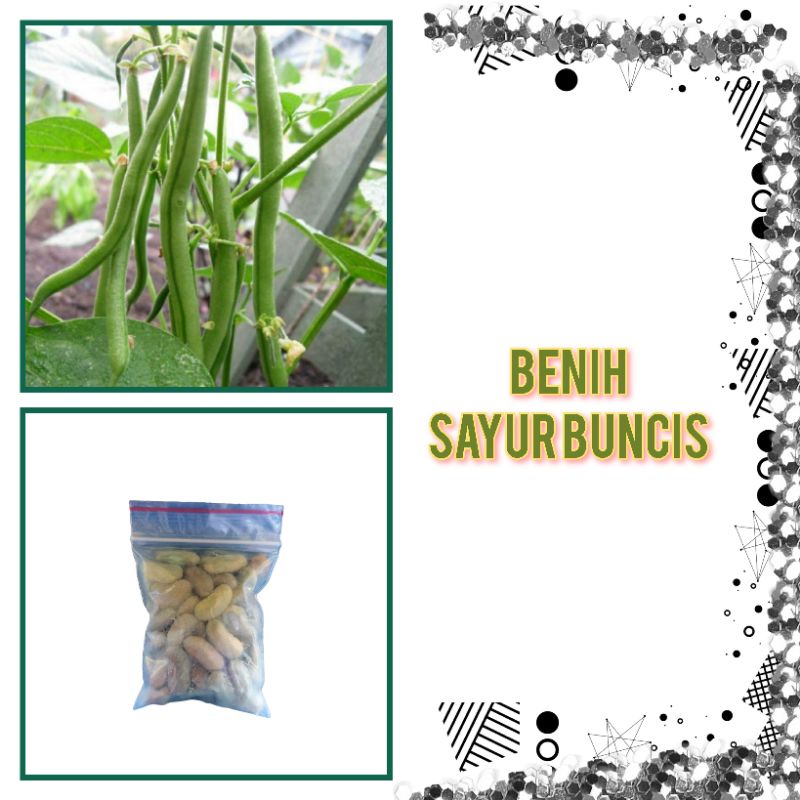 Jual BENIH BUNCIS REPACK (50 BIJI) | Shopee Indonesia