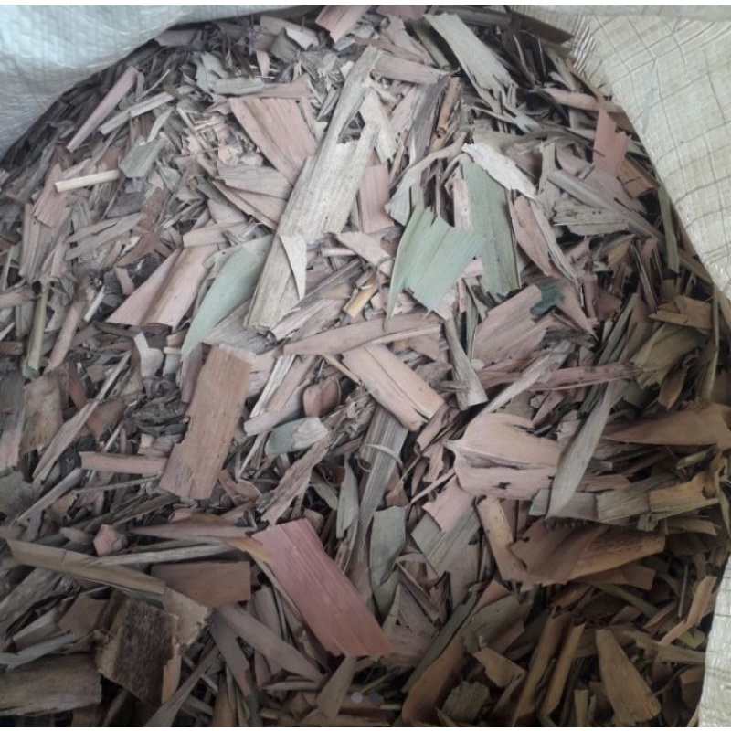 Jual media tanam daun bambu kering 1kg | Shopee Indonesia