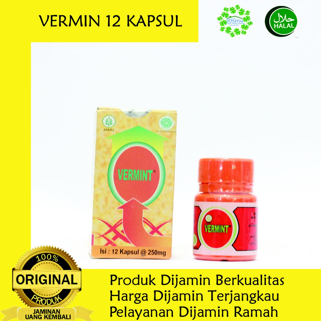 Jual Vermint 12 Kapsul - Obat Demam Obat Cacing Obat Maag | Shopee ...