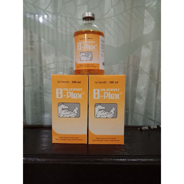 Jual INJEKVIT B KOMPLEKS 100 ml MEDION - Menambah daya tahan tubuh ...