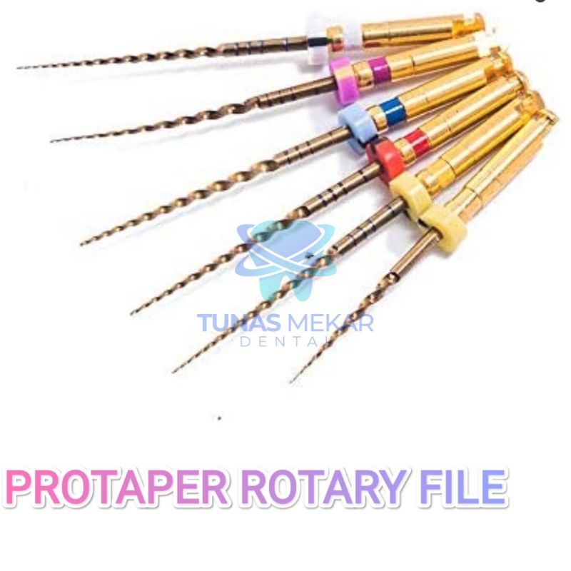 Jual kfile k file protaper rotary endomotor niti SX - F3 25mm murah ...
