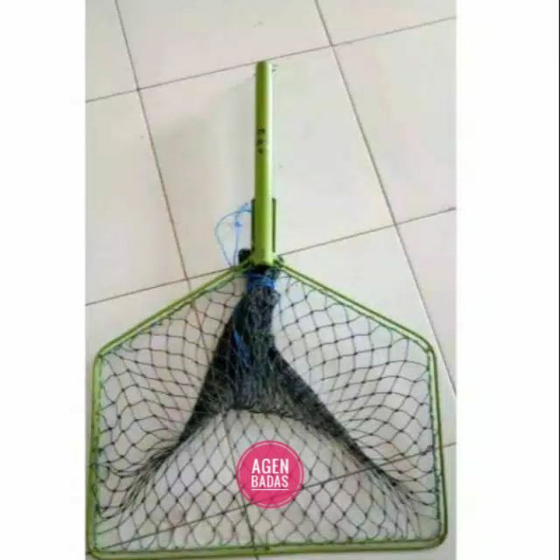 Jual Serok Ikan Besar,Serok Ikan Siap Panen,Serok Brojol Untuk Ikan ...