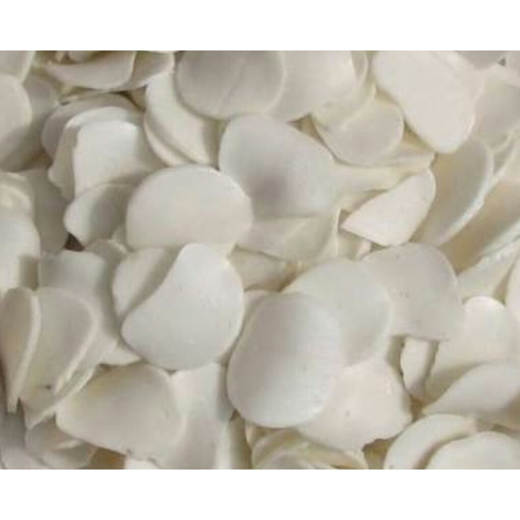 Jual Kerupuk Bawang warna Putih 1kg | Shopee Indonesia