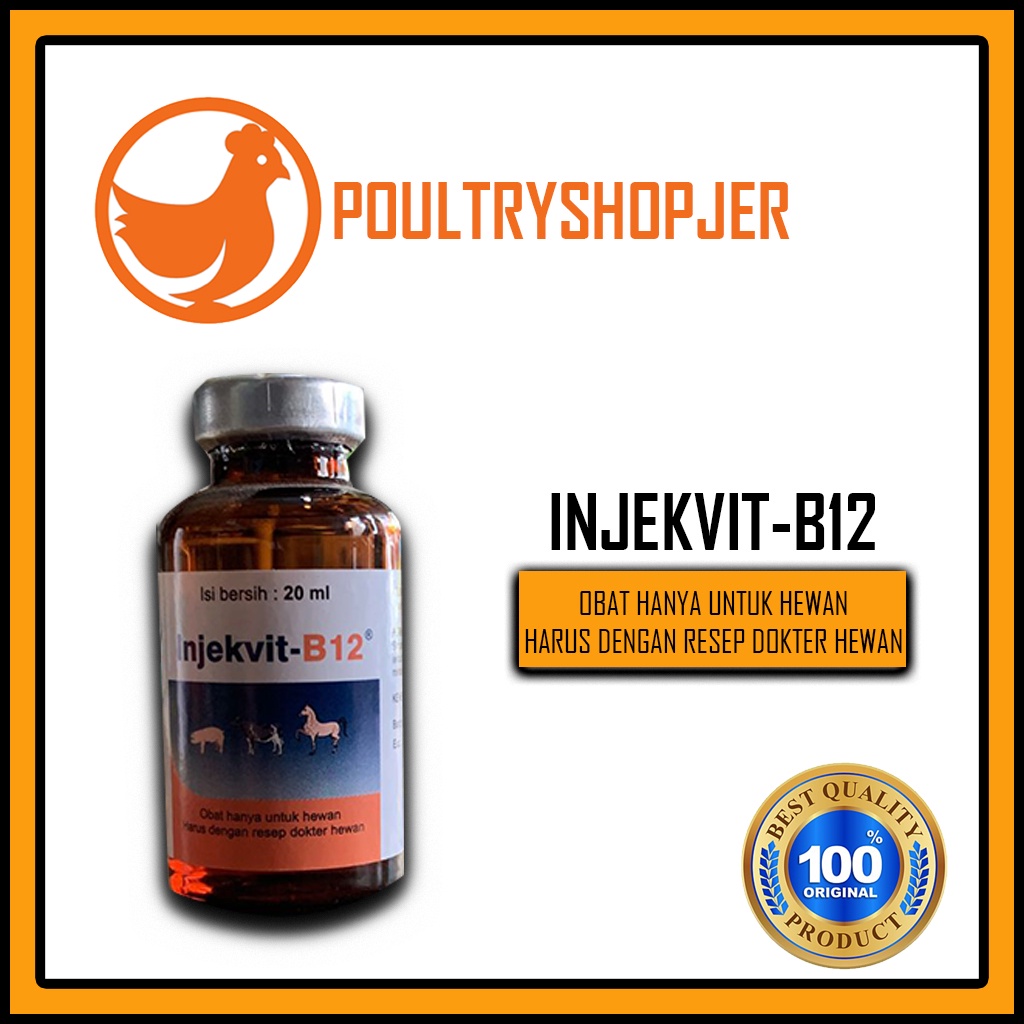 Jual Injekvit-B12 20ml : Obat Injeksi Vitamin B12 untuk Mengatasi ...