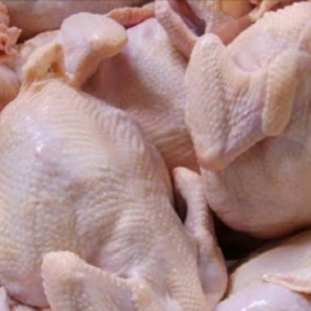 Jual Ayam potong 2 ekor | Shopee Indonesia