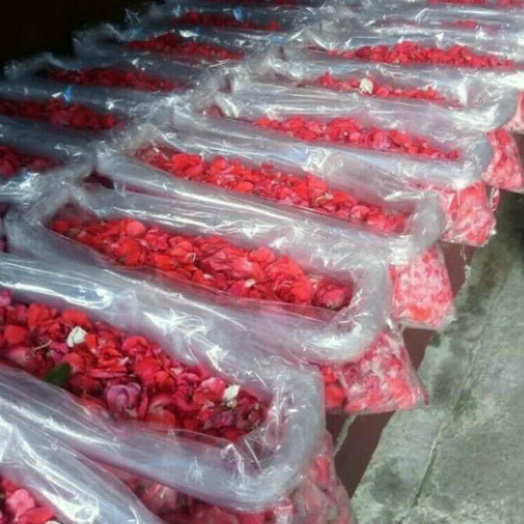 Jual Bunga Tabur Makam Untuk Pemakaman Ziarah / Bunga Pihong Asli Segar ...