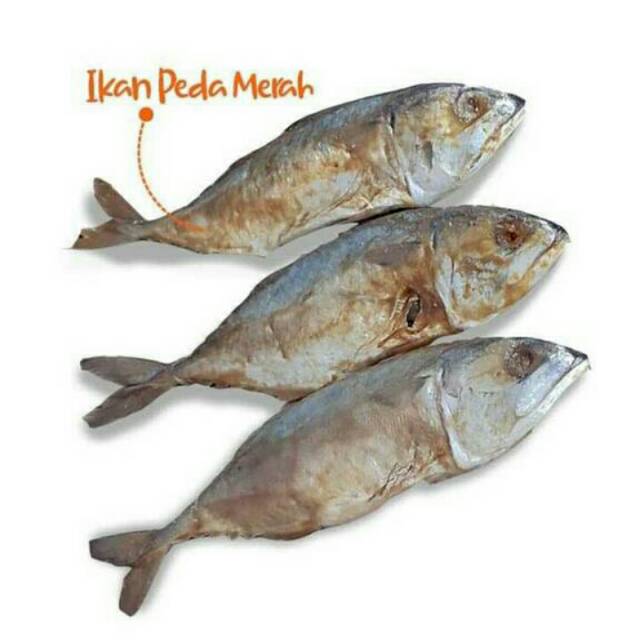 Jual Ikan Asin Peda merah/putih | Shopee Indonesia