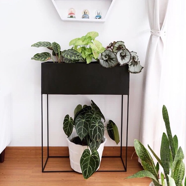 Jual Standing Planter Box | Shopee Indonesia