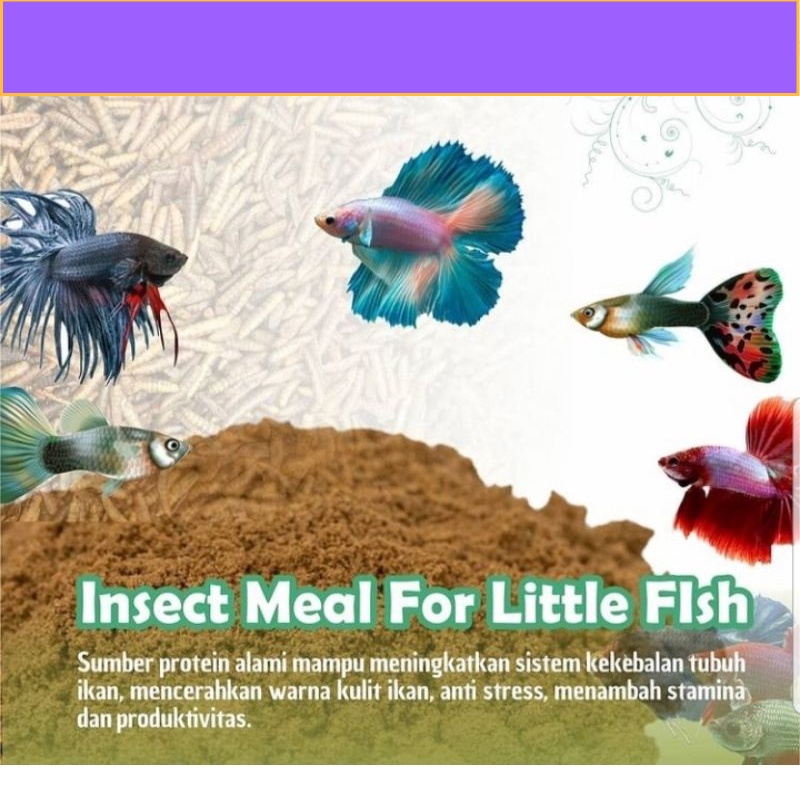 Jual Tepung maggot insect meal protein 65% pakan ikan cupang gupy ...