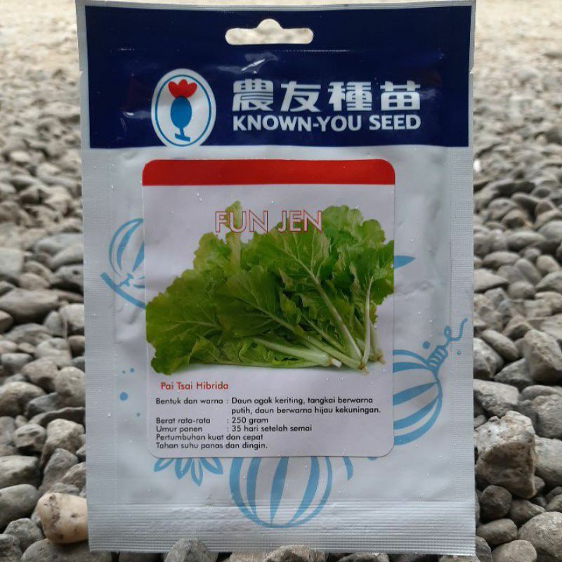 Jual benih sayur sawi keriting FUN JEN isi(10gr)Known You Seed | Shopee ...