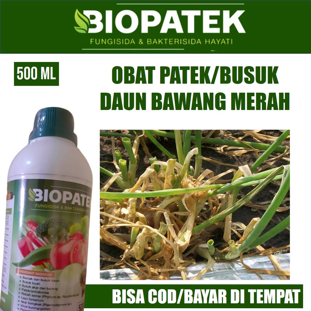 Jual BIOPATEK 500 ml Obat Hama Patek Bawang Merah, Obat Hama Busuk Daun ...