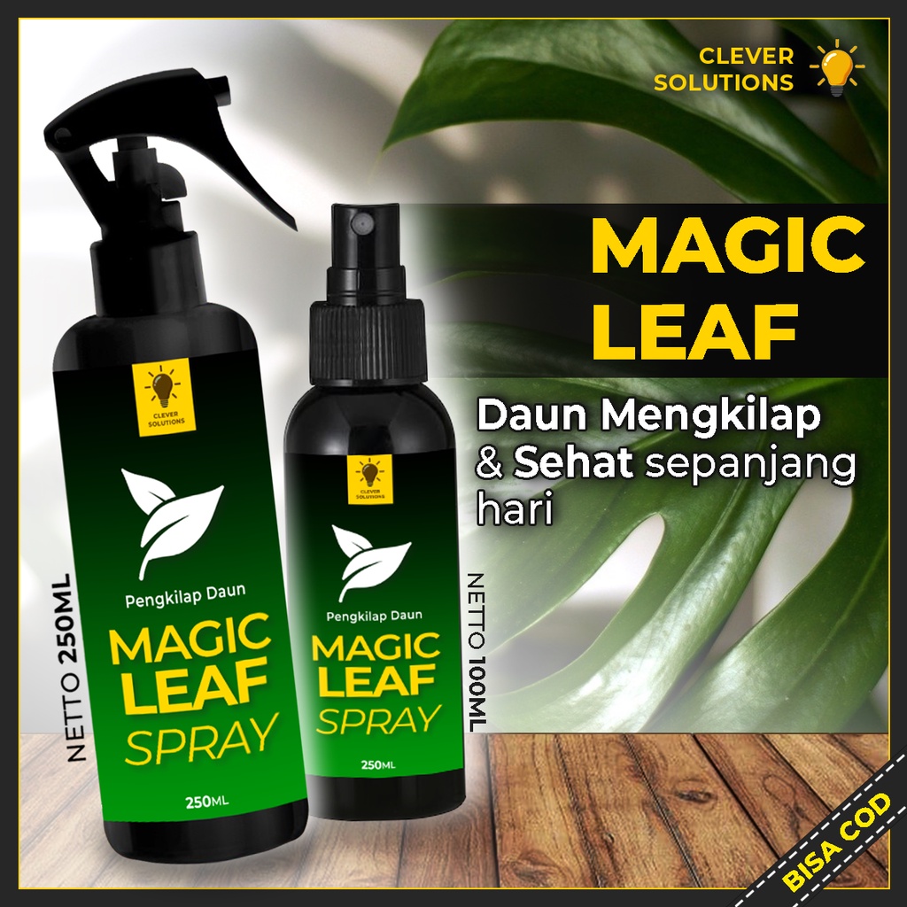 Jual Clever Solutions - MAGIC LEAF Leaf Semir Pengkilap Daun Tanaman Hias Shine Aglonema ...