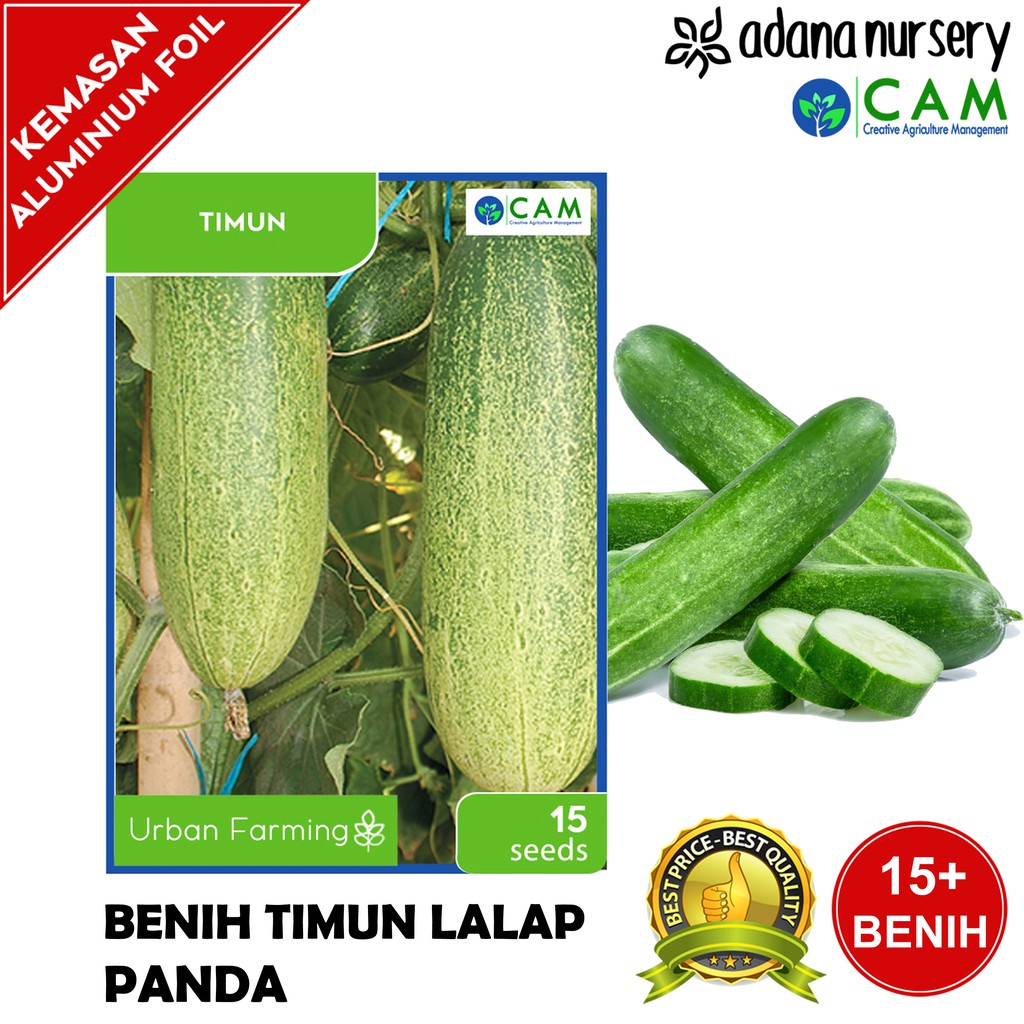 Jual Benih / Biji Timun Lalap - Panda - Berkualitas - Repack 15 Seeds ...