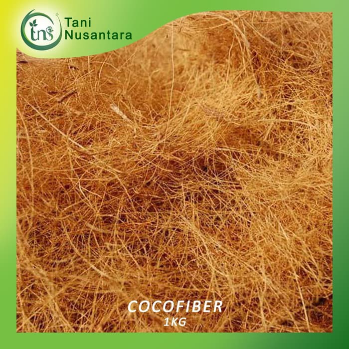 Jual Media Tanam Cocofiber Coco Fiber Serabut Kelapa Ijuk Kelapa-1kg ...
