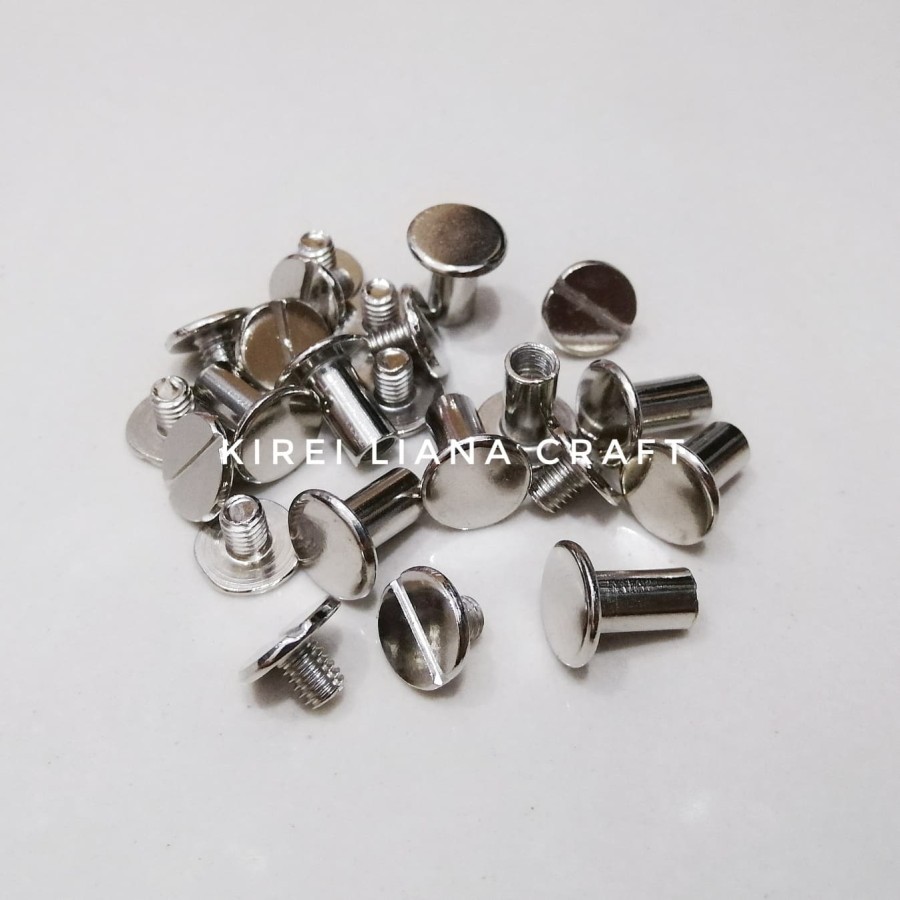 Jual Baut Skrup Screw Paku Rivet 10 x 10 mm - NIKEL | Shopee Indonesia