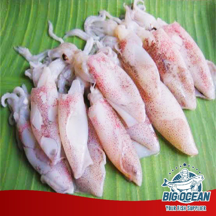 Jual Cumi Kecil | Baby Cumi @500gr | Shopee Indonesia