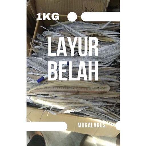 Jual IKAN ASIN LAYUR BELAH SEGAR MURAH KWALITAS SUPER | Shopee Indonesia